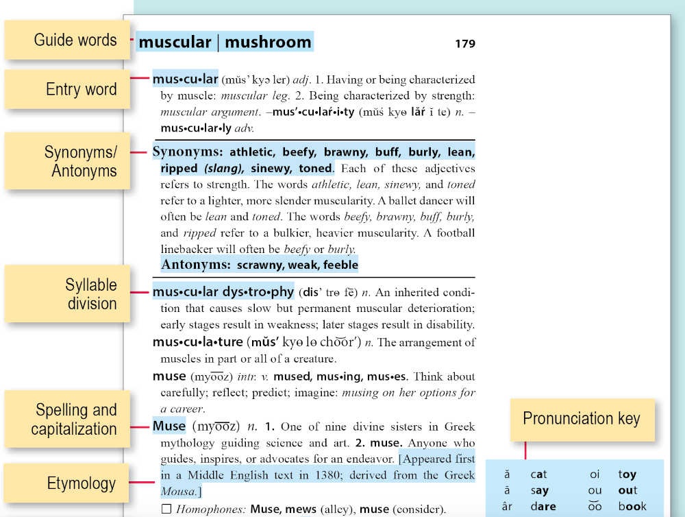 WOC 409 | Thoughtful Learning K-12